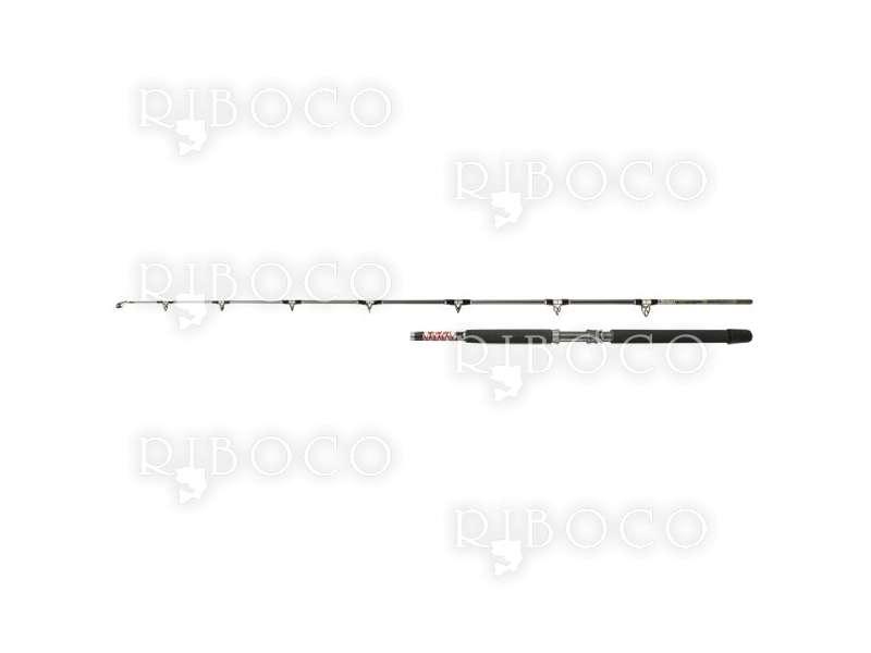 Clonk/Sea Fishing Rod Energo Team Silver Boat from fishing tackle shop ...